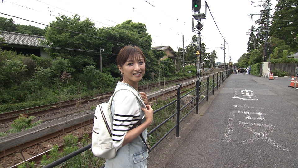 迷惑生物から住民を守れ！凄腕！危険生物バスターズ｜バラエティ｜見逃し無料配信はTVer！人気の動画見放題