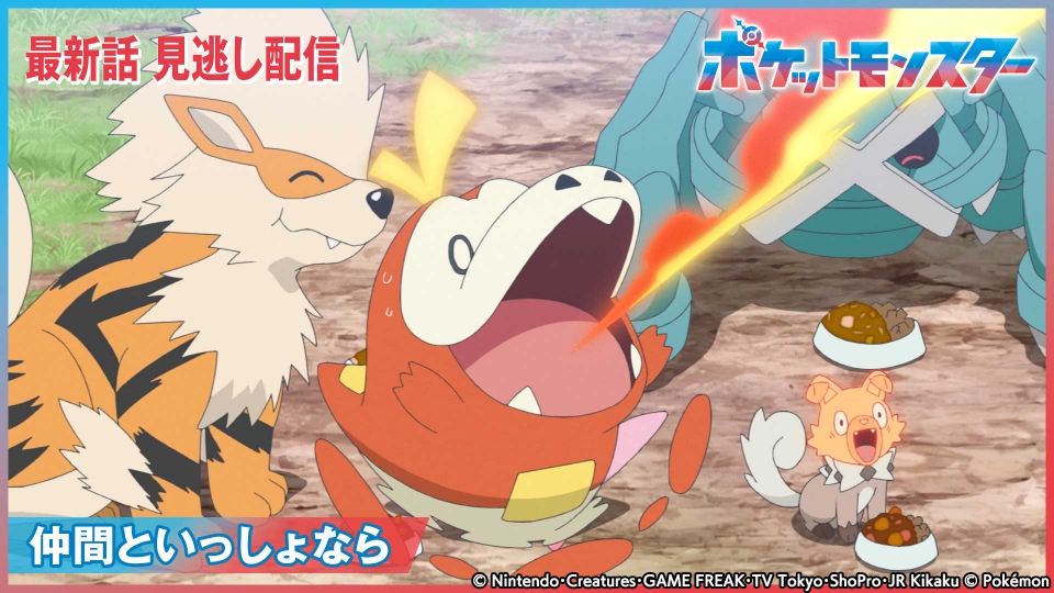 ポケットモンスター 11月3日(金)放送分 仲間といっしょなら｜アニメ／ヒーロー｜見逃し無料配信はTVer！人気の動画見放題