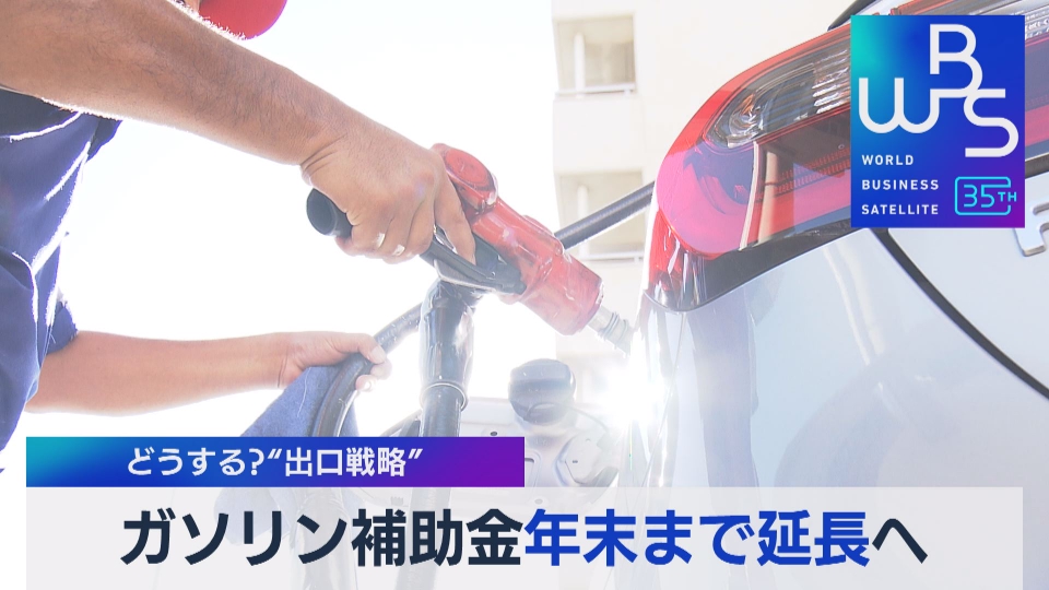 WBS（ワールドビジネスサテライト） 8月29日(火)放送分 ガソリン補助金いつまで？｜報道／ドキュメンタリー｜見逃し無料配信はTVer！人気の動画見放題