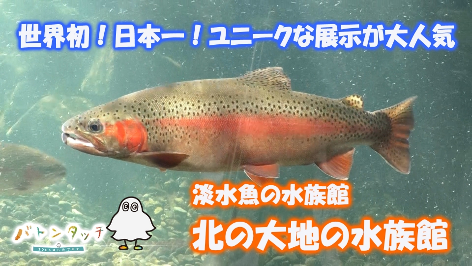 ダウンタウンDX 10月26日 リアルタイム配信 30周年SP★今夜限り!スターの秘蔵映像を一挙大放出!｜日本テレビ｜見逃し無料配信はTVer！人気の動画見放題