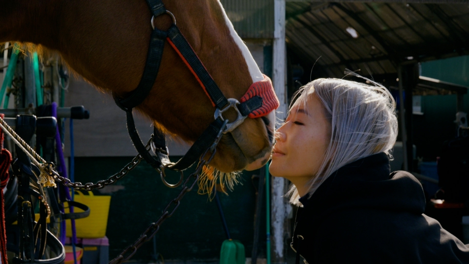 ONE hour Sense -1Hセンス- 3月19日(日)放送分 フリーダイバー HANAKO｜バラエティ｜見逃し無料配信はTVer！人気の動画見放題