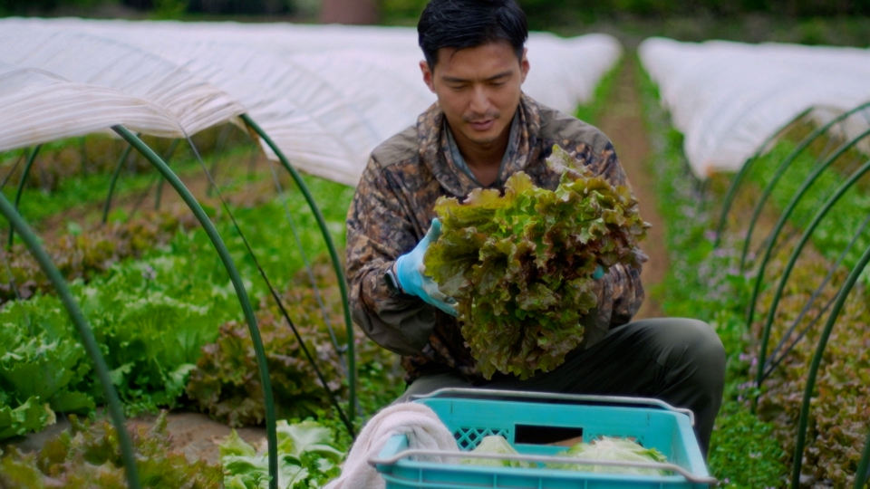 ONE hour Sense -1Hセンス- 5月21日(日)放送分 俳優 石田卓也｜バラエティ｜見逃し無料配信はTVer！人気の動画見放題