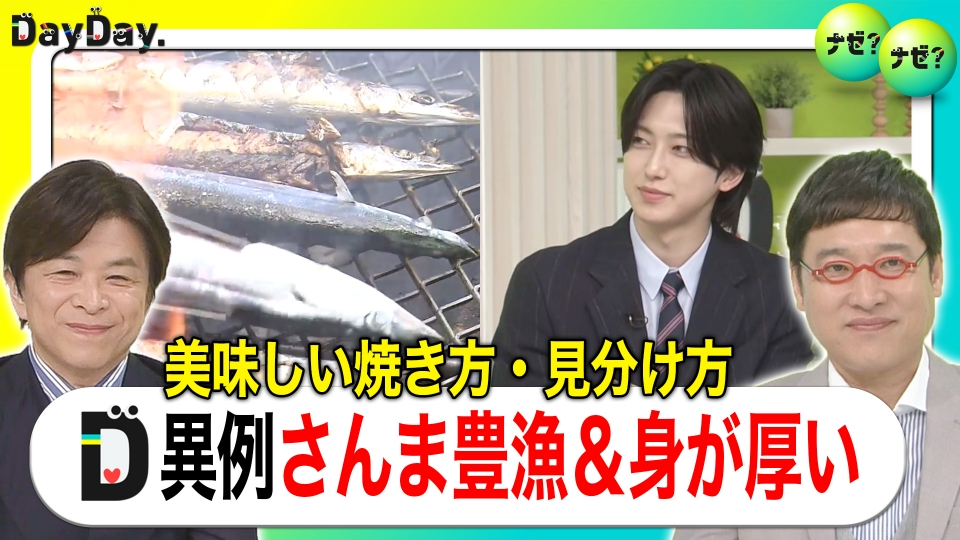 DayDay. 9月10日(水)放送分 今年は豊漁&脂のり サンマの選び方、おいしい焼き方は？【ナゼ？ナゼ？】｜報道／ドキュメンタリー｜見逃し無料配信はTVer！人気の動画見放題