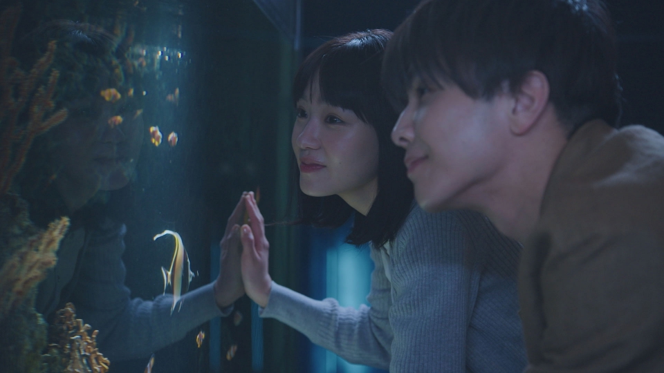 TVer（ティーバー）｜見逃し無料配信中！ドラマ、バラエティ、アニメの人気番組が動画見放題で楽しめる