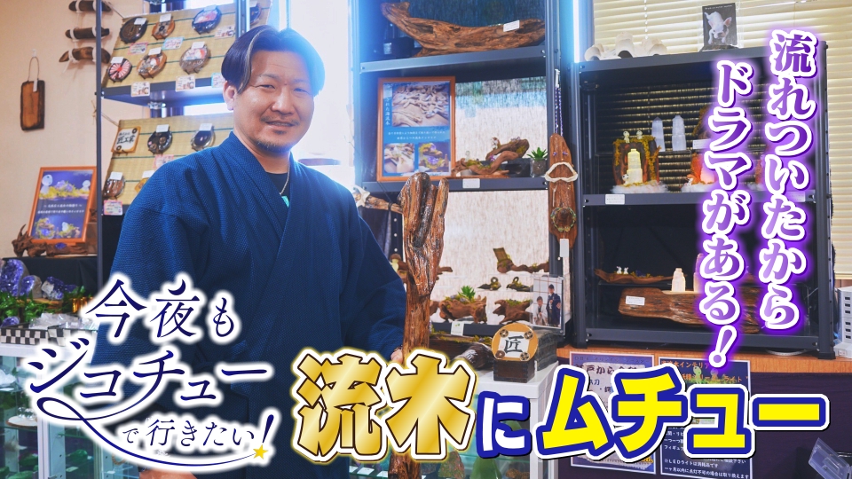 今夜もジコチューで行きたい！ 2月19日(月)放送分 ＃流木にムチュー｜バラエティ｜見逃し無料配信はTVer！人気の動画見放題