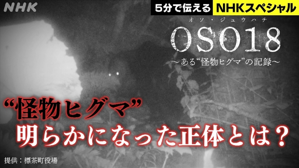Nスペ5min． 11月26日(土)放送分 「OSO18 ～ある“怪物ヒグマ”の記録～」｜報道・ドキュメンタリー｜見逃し無料配信はTVer！人気の動画見放題