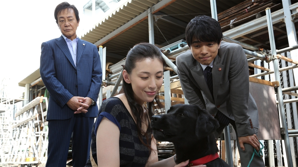 警視庁捜査一課9係 season7 2012年放送 第8話 犬は見ていた｜ドラマ｜見逃し無料配信はTVer！人気の動画見放題