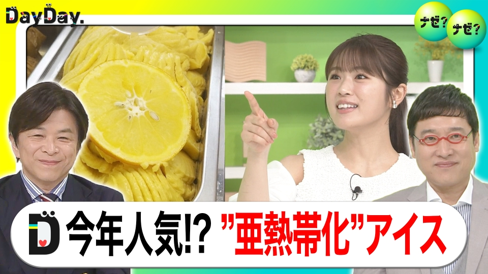 DayDay. 7月25日(金)放送分 亜熱帯化する日本の夏にアイスの新トレンド！【ナゼ？ナゼ？】｜報道／ドキュメンタリー｜見逃し無料配信はTVer！人気の動画見放題