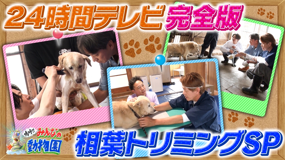 緊急SOS！池の水ぜんぶ抜く大作戦 9月14日 リアルタイム配信 池の水ぜんぶ抜く 近藤真彦参戦！福井城＆高知城＆巨大古墳から緊急SOS！｜テレ東｜見逃し無料配信はTVer！人気の動画見放題