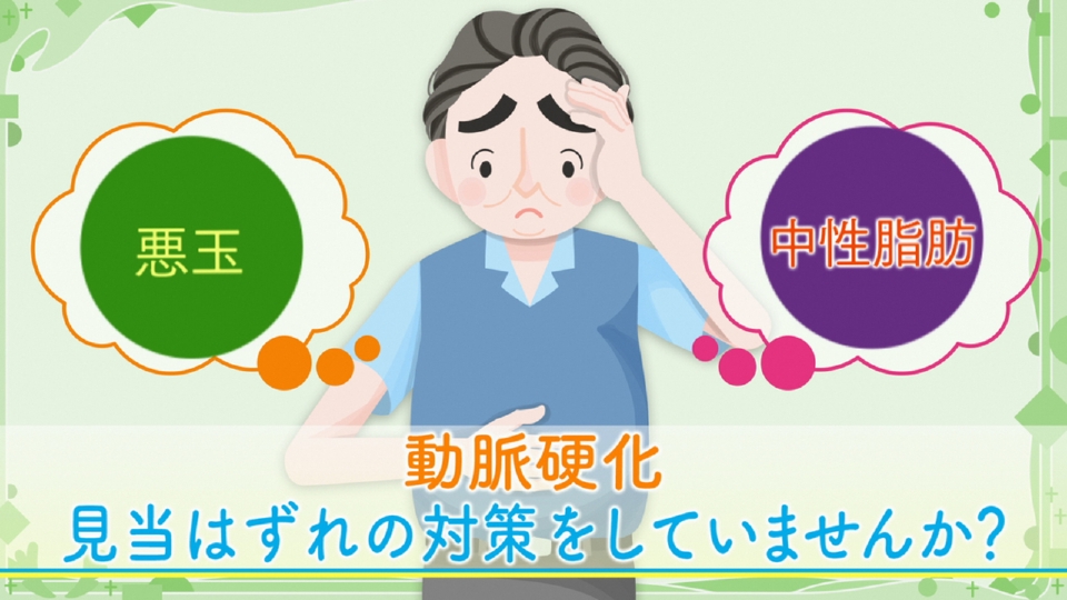 きょうの健康 9月4日(月)放送分 動脈硬化 あなたの対策のポイントは？ 「見当はずれの対策をしていませんか？」｜その他｜見逃し無料配信はTVer！人気の動画見放題