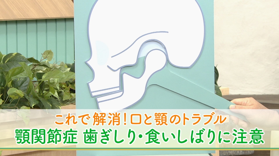 きょうの健康 7月16日(水)放送分 これで解消!口と顎のトラブル 「顎関節症 歯ぎしり・食いしばりに注意!」｜報道／ドキュメンタリー｜見逃し無料配信はTVer！人気の動画見放題