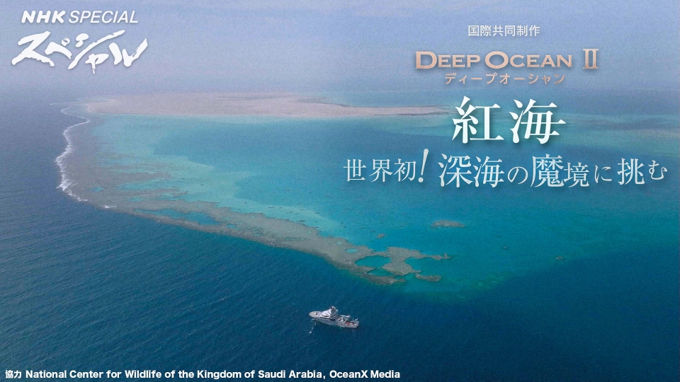 Nスペ5min. 3月1日(土)放送分 ディープオーシャンII紅海｜報道／ドキュメンタリー｜見逃し無料配信はTVer！人気の動画見放題