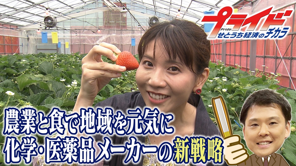 プライド せとうち経済のチカラ 7月6日(日)放送分 化学・医薬品の世界的メーカーが農業に進出（セトラスホールディングス 香川県高松市）｜報道／ドキュメンタリー｜見逃し無料配信はTVer！人気 ...