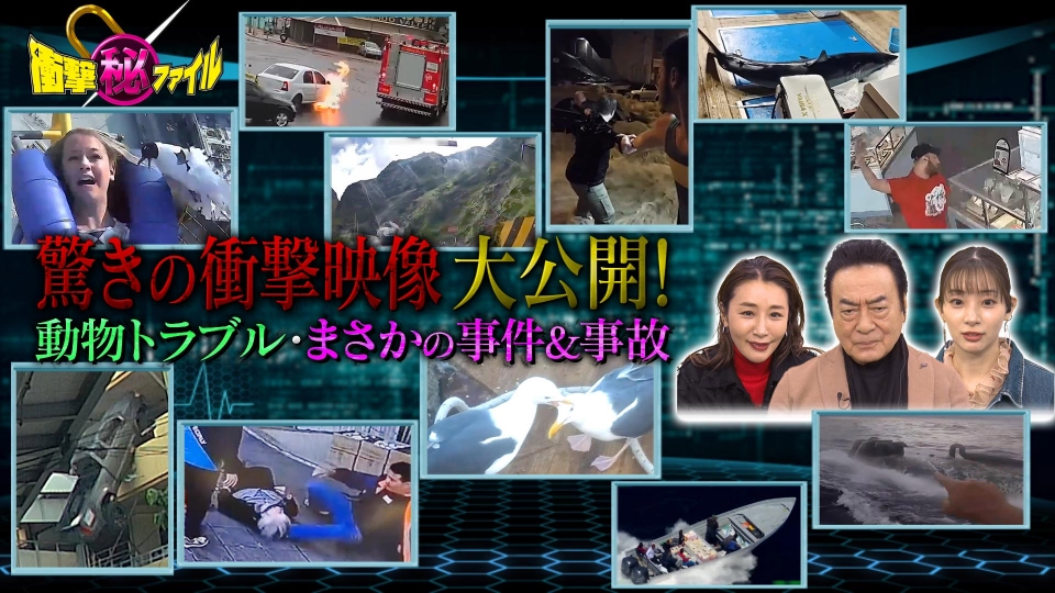 芸能人が本気で考えた！ドッキリGP 1月25日 リアルタイム配信 松田元太に緊急㊙重大発表ドッキリSP｜フジテレビ｜見逃し無料配信はTVer！人気の動画見放題