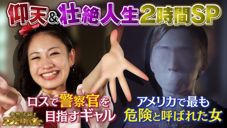 池崎家に新たな保護猫&ラミレス最終回SP! ｜ TVer