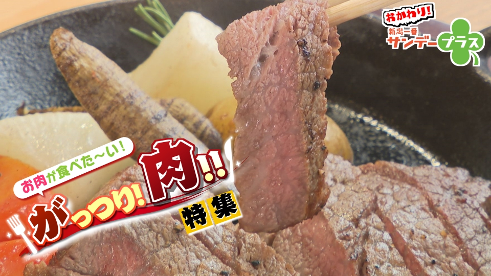 ダウンタウンDX 5月8日 リアルタイム配信 【MC川島】悩み相談!エイト丸山&モグライダー&超とき宣｜日本テレビ｜見逃し無料配信はTVer！人気の動画見放題