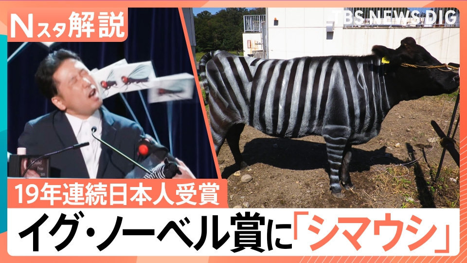 TBS NEWS DIG Powered by JNN 9月19日(金)放送分 「イグ・ノーベル賞」19年連続で日本人受賞【Nスタ】｜報道／ドキュメンタリー｜見逃し無料配信はTVer！人気の動画見放題