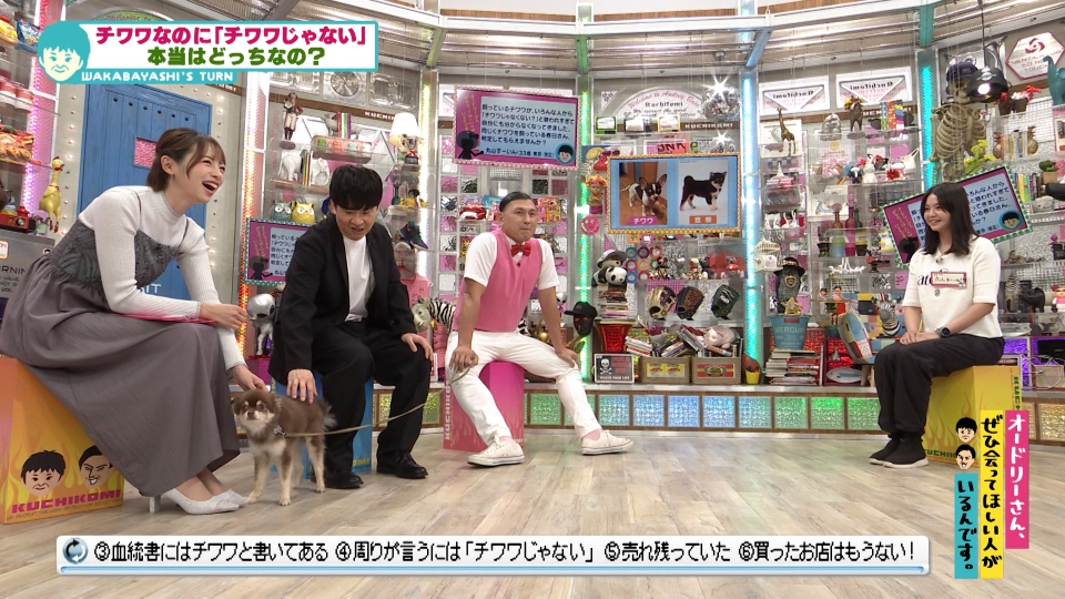 芸能人が本気で考えた！ドッキリGP 1月25日 リアルタイム配信 松田元太に緊急㊙重大発表ドッキリSP｜フジテレビ｜見逃し無料配信はTVer！人気の動画見放題