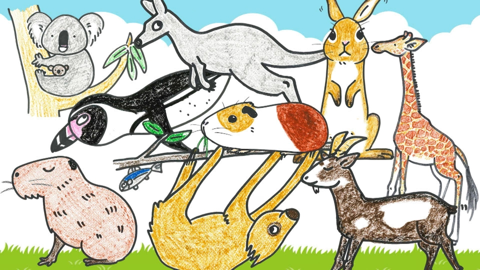 ガチャムク 12月28日(土)放送分 どうぶつ博士になれたかな？｜バラエティ｜見逃し無料配信はTVer！人気の動画見放題