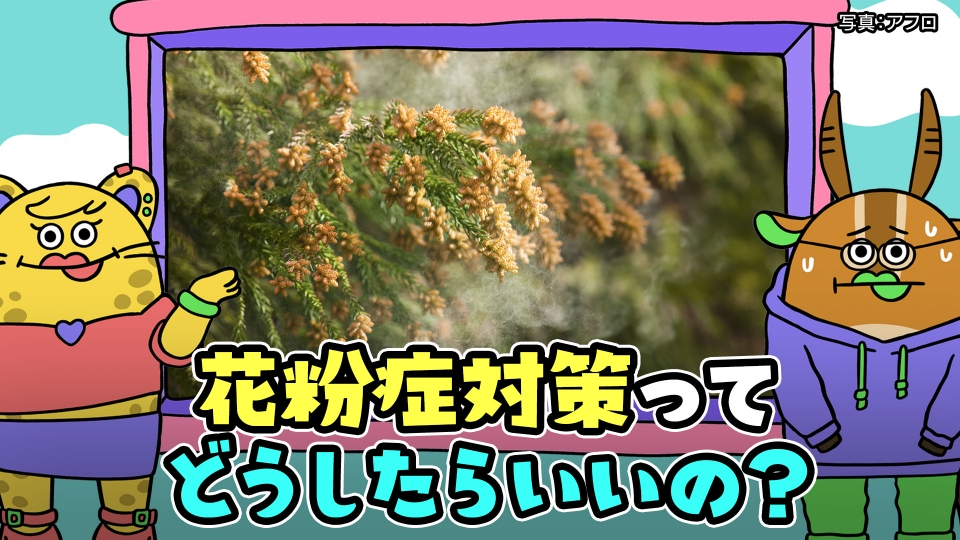 ニッポンの朝を変える！ZIP!×DayDay.合体スペシャル｜報道／ドキュメンタリー｜見逃し無料配信はTVer！人気の動画見放題