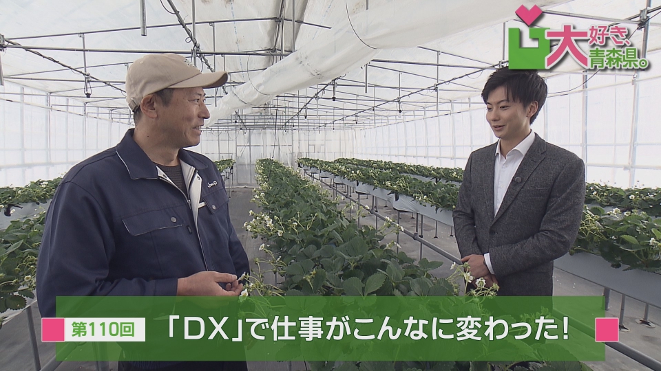 大好き、青森県。 1月21日(日)放送分 #110 「DX」で仕事がこんなに変わった！｜バラエティ｜見逃し無料配信はTVer！人気の動画見放題
