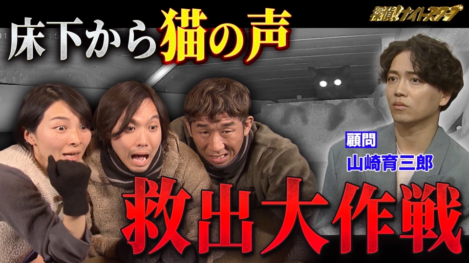 千鳥の鬼レンチャン 2月23日 リアルタイム配信 3時間SP 女子300mサバイバル＆パリ五輪金vs筋肉芸人｜フジテレビ｜見逃し無料配信はTVer！人気の動画見放題