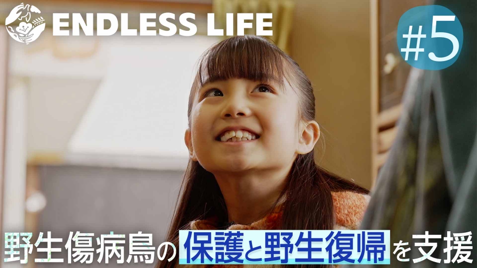 ENDLESS LIFE～終わりなき旅～ 2月7日(金)放送分 ＃5「日本バードレスキュー協会編」｜報道／ドキュメンタリー｜見逃し無料配信はTVer！人気の動画見放題