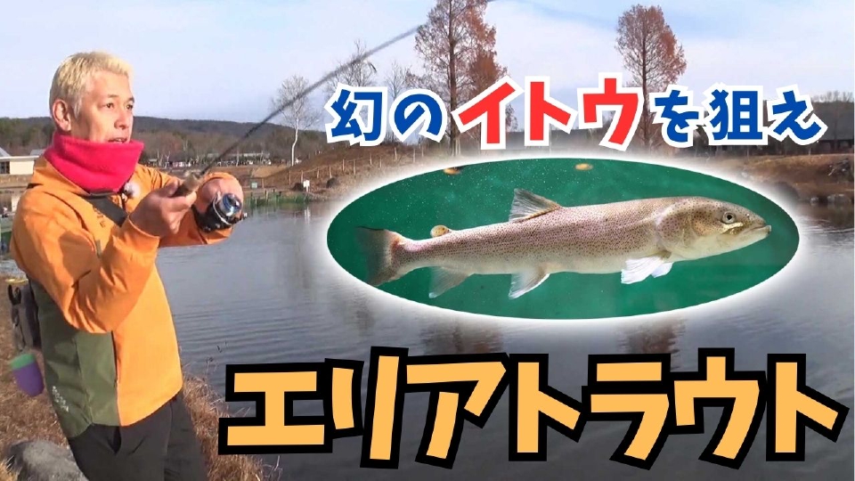 ご当地番組大集合！の関東エリア | 見逃し無料配信はTVer！人気の動画見放題