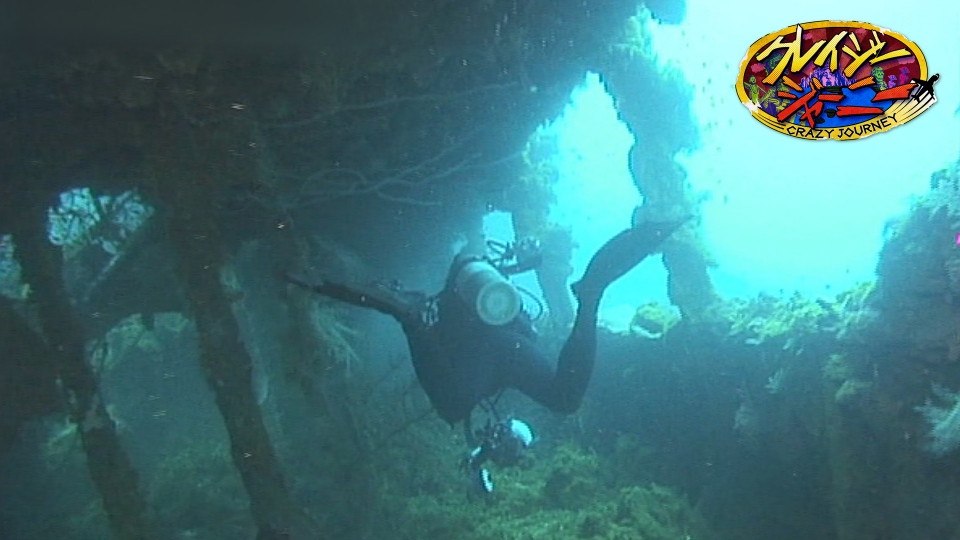 クレイジージャーニー 2015年放送 神秘とロマンの沈船探索｜バラエティ｜見逃し無料配信はTVer！人気の動画見放題