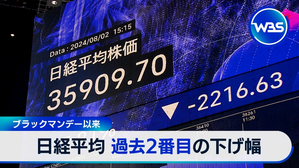 WBS（ワールドビジネスサテライト） 8月5日 リアルタイム配信 WBS 株価4451円安…下げ幅「ブラックマンデー」超え・過去最大の急落なぜ？｜テレビ東京｜見逃し無料配信はTVer！人気の動画見放題