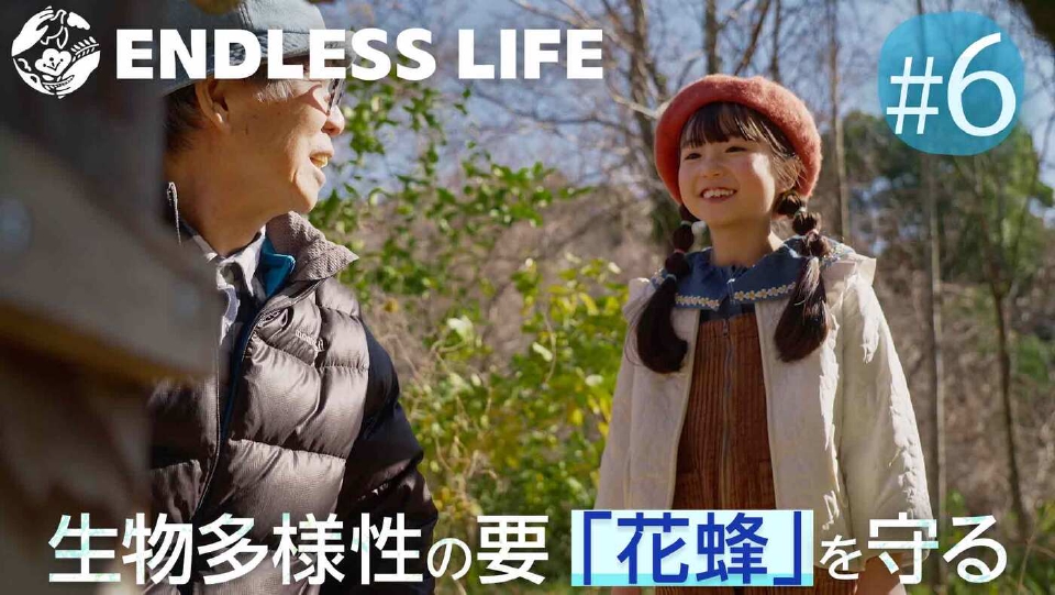 ENDLESS LIFE～終わりなき旅～ 2月14日(金)放送分 ＃6「Bee Forest Club編」｜報道／ドキュメンタリー｜見逃し無料配信はTVer！人気の動画見放題