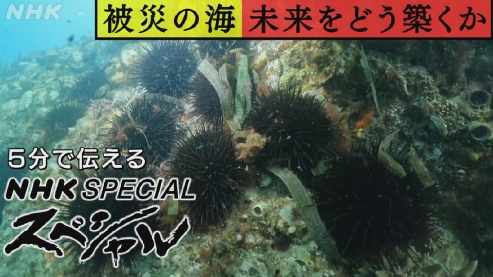 Nスペ5min． | TVer