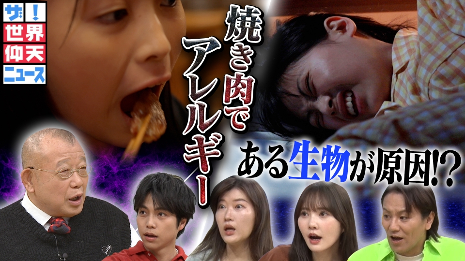 ザ！世界仰天ニュース 3月11日(火)放送分 芸能人アレルギーSP!アイドルがダニ舐めてハウスダストを克服?｜バラエティ｜見逃し無料配信はTVer！人気の動画見放題