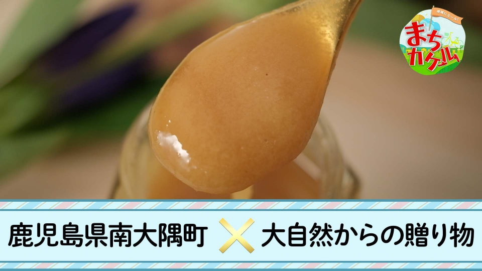 地域にエール！まちカケル 10月1日(日)放送分 鹿児島県南大隅町×大自然からの贈り物｜バラエティ｜見逃し無料配信はTVer！人気の動画見放題