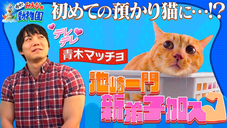 あちこちオードリー 2月26日 リアルタイム配信 あちこちオードリー【オズワルド・やす子】｜テレ東｜見逃し無料配信はTVer！人気の動画見放題