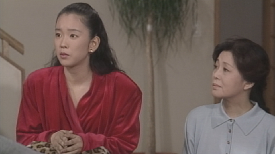 渡る世間は鬼ばかり 第2シリーズ(橋田壽賀子ドラマ) 1993年放送 第二十九回｜ドラマ｜見逃し無料配信はTVer！人気の動画見放題