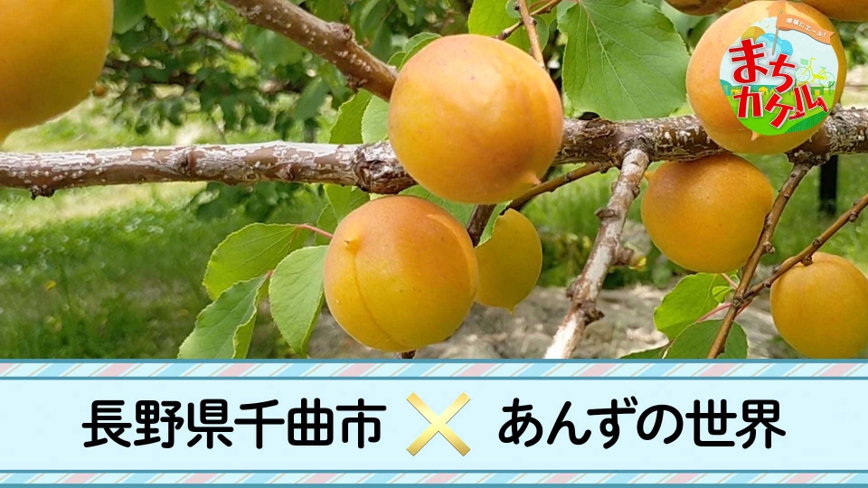 さらば青春の光の青春ジャック！！ 5月6日(土)放送分 番組初の女子高潜入！！衝撃のカミングアウト5・7・5｜バラエティ｜見逃し無料配信はTVer！人気の動画見放題