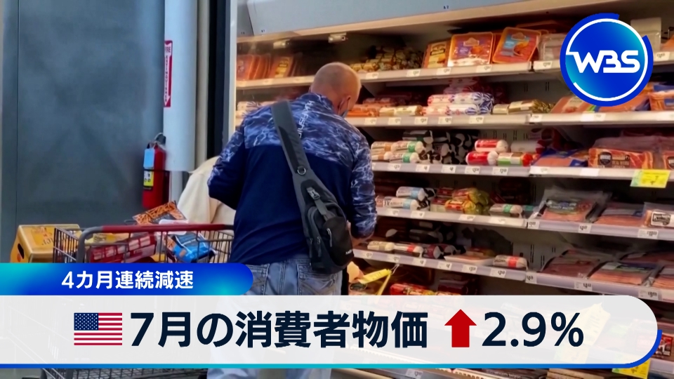 WBS（ワールドビジネスサテライト） 8月14日(水)放送分 株価急変再び?注目の指標 ポスト岸田は?不出馬表明を市場どう見た｜報道／ドキュメンタリー｜見逃し無料配信はTVer！人気の動画見放題