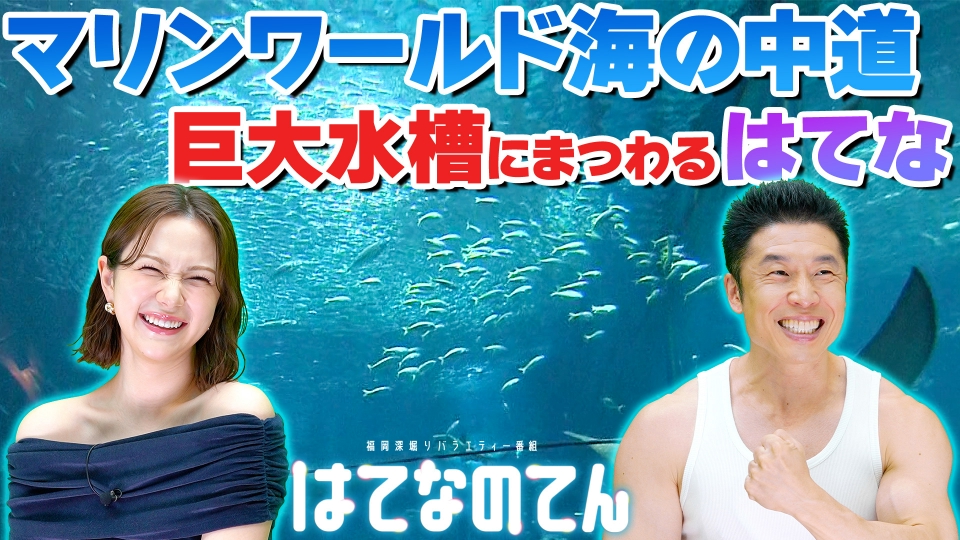はてなのてん 6月7日土放送分 マリンワールドの巨大水槽にまつわるハテナ|バラエティ|見逃し無料配信はtver!人気の動画見放題