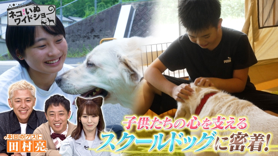 ネコいぬワイドショー 10月18日(金)放送分 ＃99 ゲスト：田村亮｜バラエティ｜見逃し無料配信はTVer！人気の動画見放題