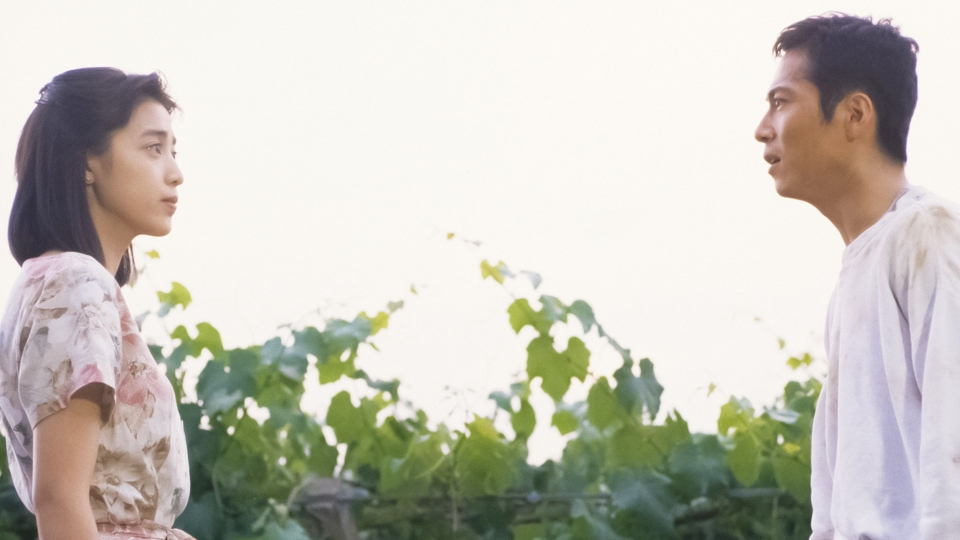 適齢期 1994年放送 最終回 「桃が翔ぶ」｜ドラマ｜見逃し無料配信はTVer！人気の動画見放題