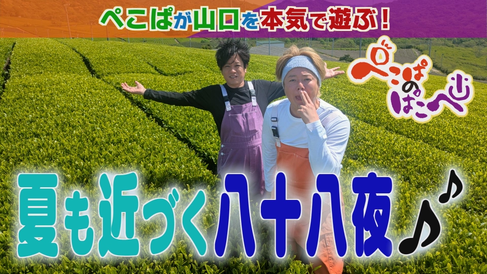 ぺこぱのぱこぺ 6月14日土放送分 山口の茶処を訪ねて利き茶対決!|バラエティ|見逃し無料配信はtver!人気の動画見放題