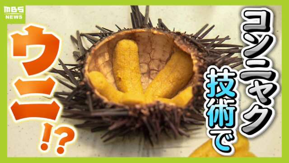 WBS（ワールドビジネスサテライト） 8月28日 リアルタイム配信 WBS【吉野家が…驚き新メニュー発表】｜テレビ東京｜見逃し無料配信はTVer！人気の動画見放題