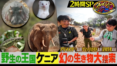 クレイジージャーニー
