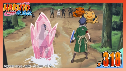 NARUTO-ナルト- 疾風伝 2009年放送 第三百十七話 乱反射の迷宮｜アニメ／ヒーロー｜見逃し無料配信はTVer！人気の動画見放題