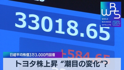 WBS（ワールドビジネスサテライト） 6月13日(火)放送分 株価3万3000円を回復 33年ぶり｜報道／ドキュメンタリー｜見逃し無料配信はTVer！人気の動画見放題