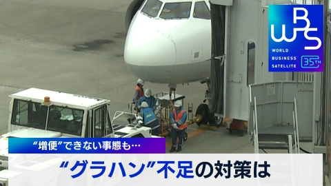 WBS（ワールドビジネスサテライト） 2月8日(木)放送分 人手不足で飛行機が増やせない？対策は…｜報道／ドキュメンタリー｜見逃し無料配信はTVer！人気の動画見放題