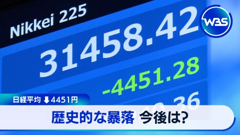 WBS（ワールドビジネスサテライト） 8月5日(月)放送分 株価4451円安…下げ幅「ブラックマンデー」超え・過去最大の急落なぜ?｜報道／ドキュメンタリー｜見逃し無料配信はTVer！人気の動画見放題