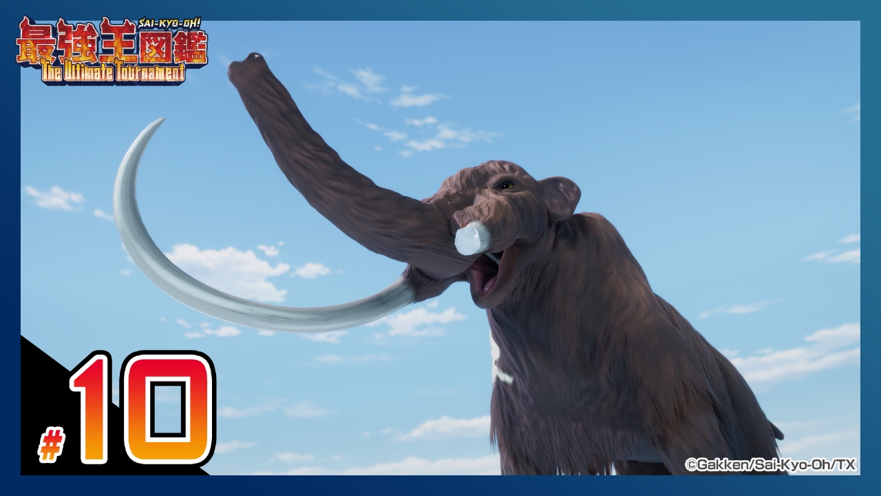 最強王図鑑 ～The Ultimate Tournament～ 6月8日(日)放送分 【ノックアウトラウンド】ミイデラゴミムシ VS ...