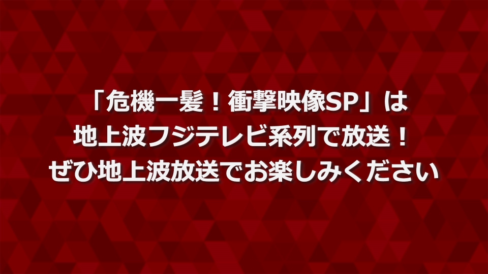 地上波放送番組のお知らせ 3月23日 リアルタイム配信 「危機一髪！衝撃映像SP」は地上波放送でお楽しみください！｜フジテレビ｜見逃し無料配信はTVer！人気の動画見放題